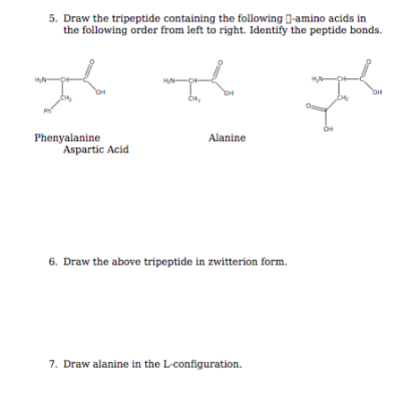 Solved 5. Draw the tripeptide containing the following | Chegg.com