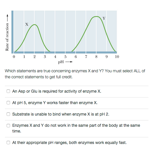 Solved Which of the following are true regarding enzymes X | Chegg.com