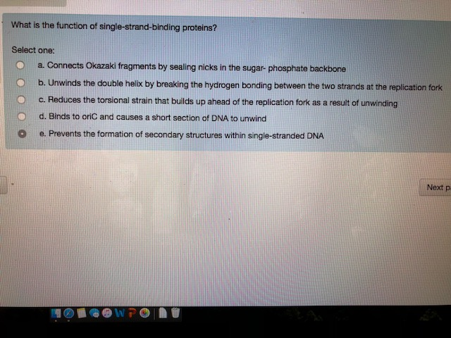 Solved What is the function of single-strand-binding | Chegg.com