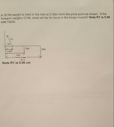Solved A 30 Nt weight is held in the had at 0.36m from the | Chegg.com