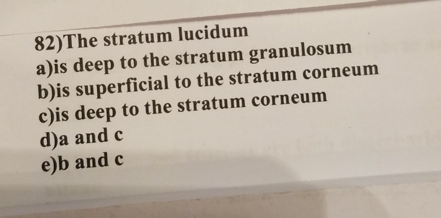 Solved 82)The stratum lucidum a)is deep to the stratum | Chegg.com