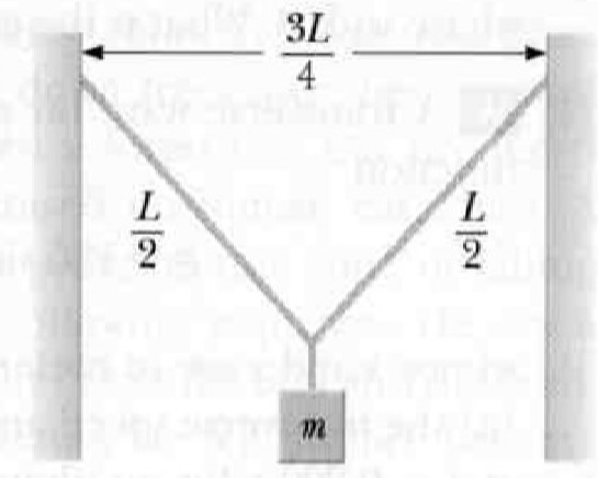 Solved A small rope has a linear mass density of 8.00 g/m | Chegg.com