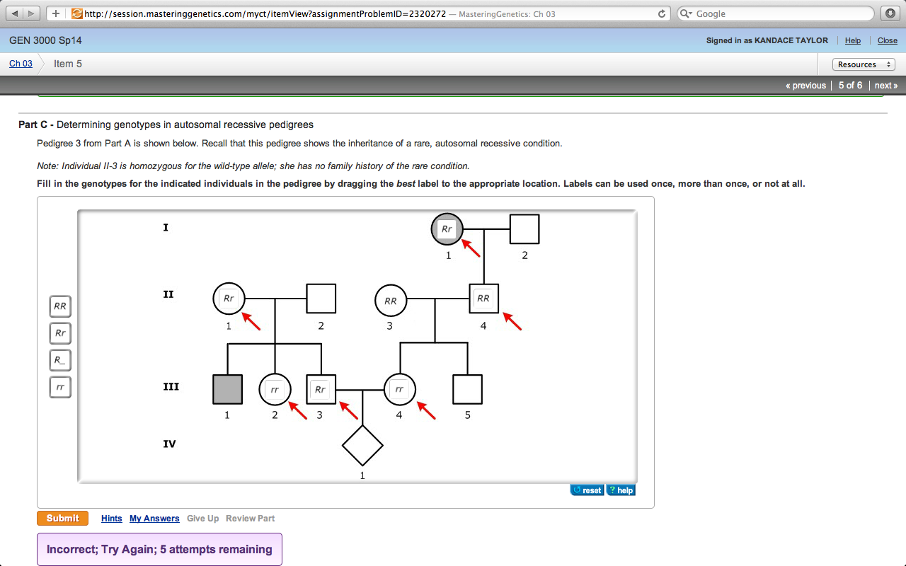 Solved Fill in the genotypes for the indicated individuals | Chegg.com