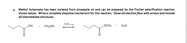 Solved Methyl butanoate has been isolated from pineapple oil | Chegg.com