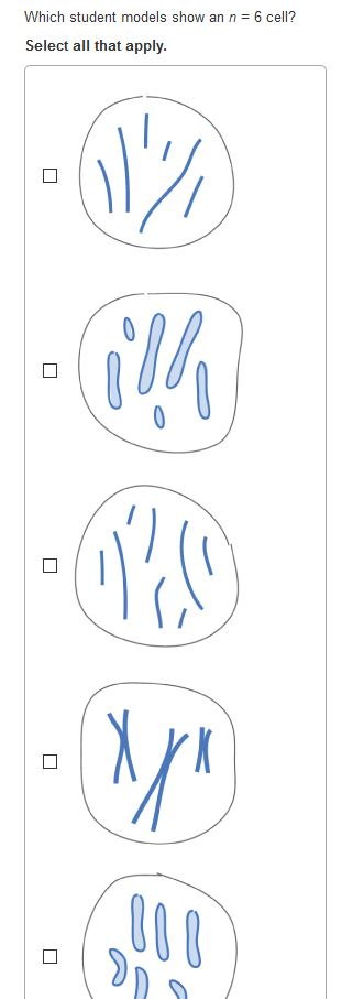 Solved Which student models show an n = 6 cell? Select all | Chegg.com