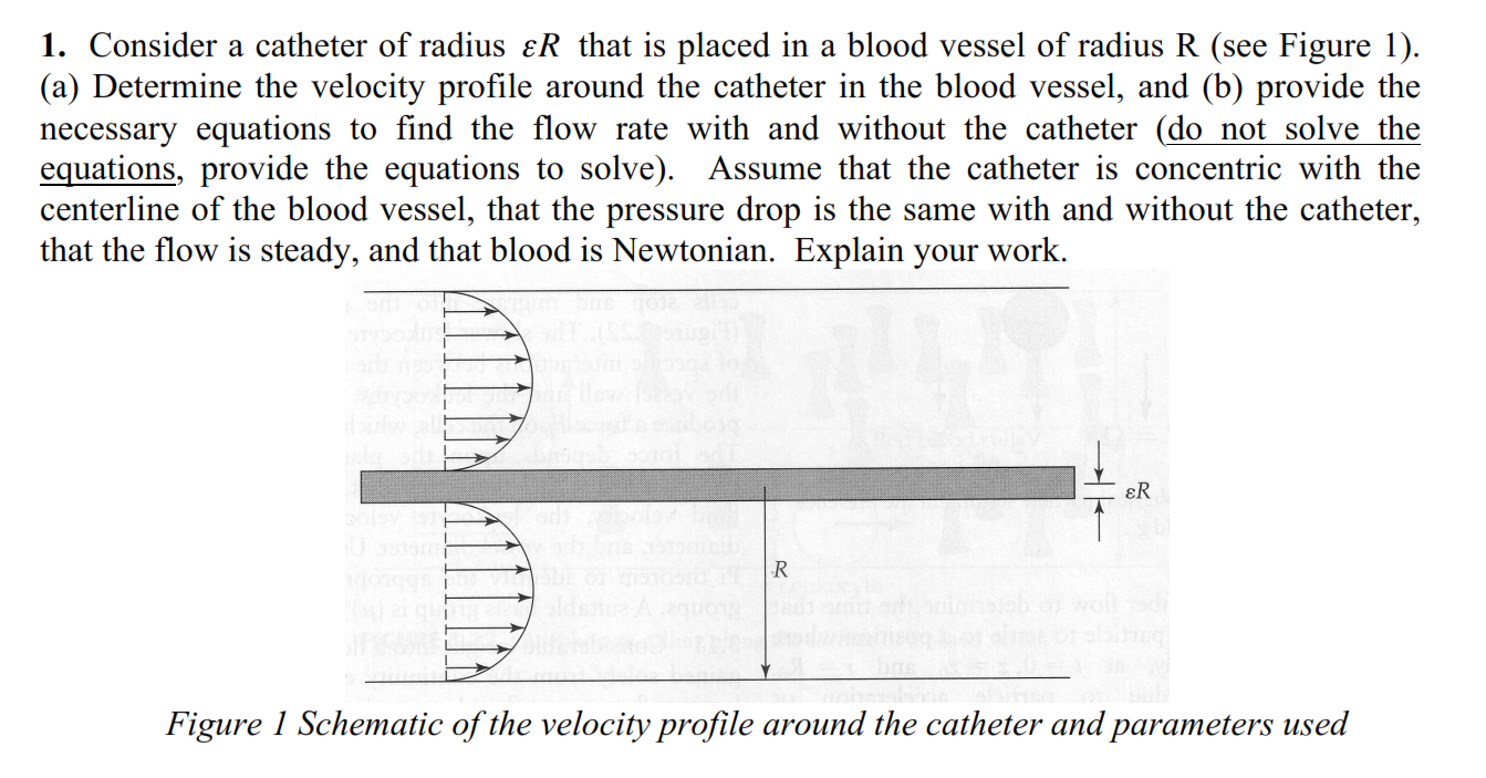 1. Consider a catheter of radius ER that is placed in | Chegg.com
