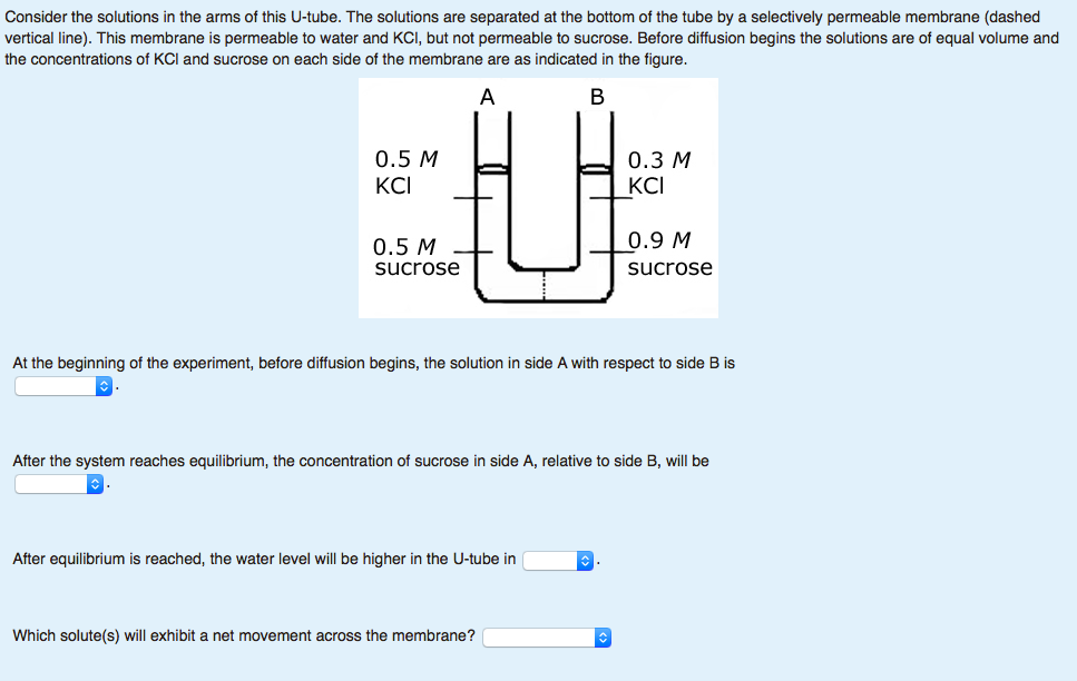 Solved Consider the solutions in the arms of this U-tube. | Chegg.com