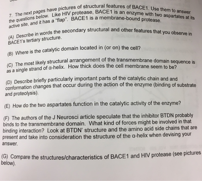 The next pages have pictures of structural features | Chegg.com