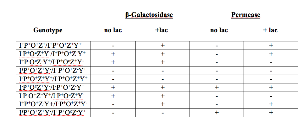 Solved The map of the lac operon is POZY. The promoter (P) | Chegg.com