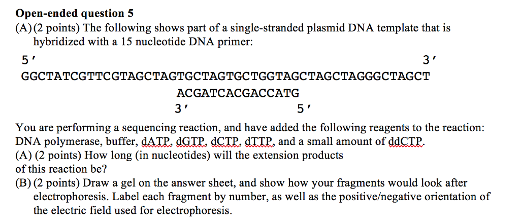 Solved Open-ended question 5 (A) (2 points) The following | Chegg.com