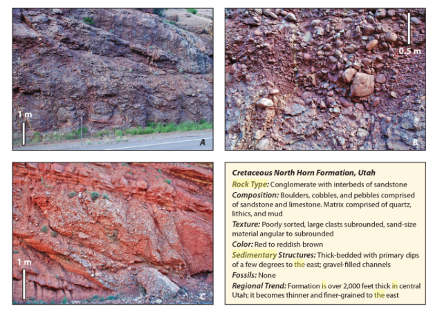 Solved 0.5 m Cretaceous North Horn Formation, Utah Rock | Chegg.com