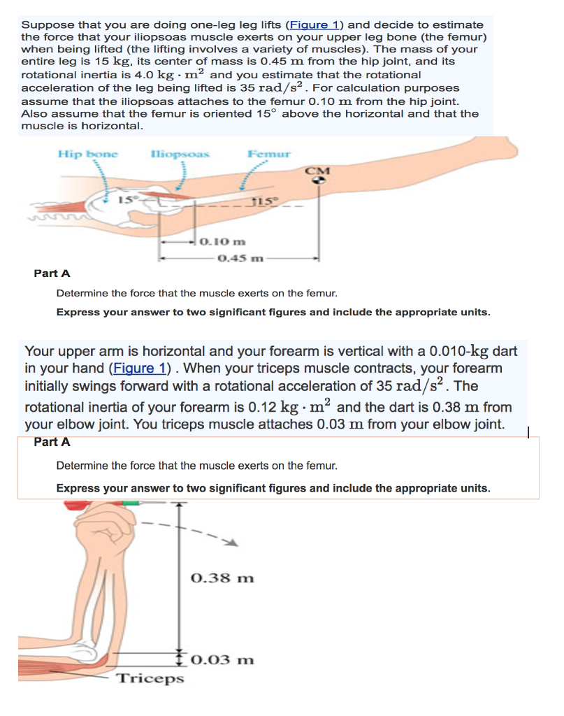Solved Suppose that you are doing one-leg leg lifts and | Chegg.com