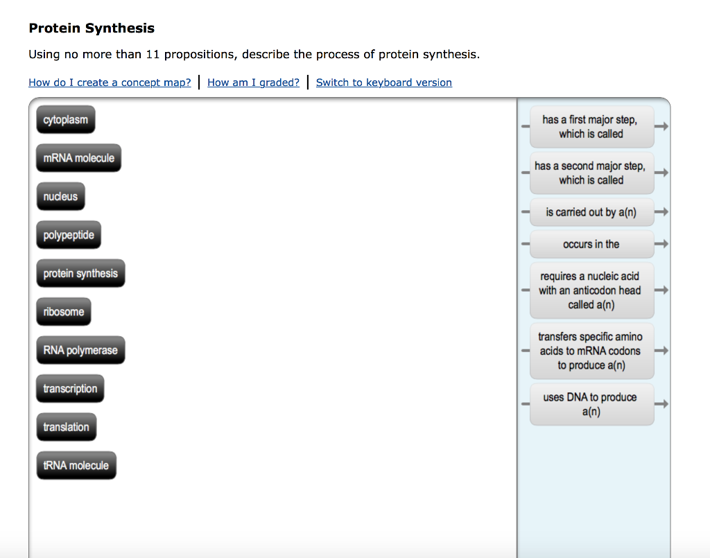 Solved Protein Synthesis Using no more than 11 | Chegg.com
