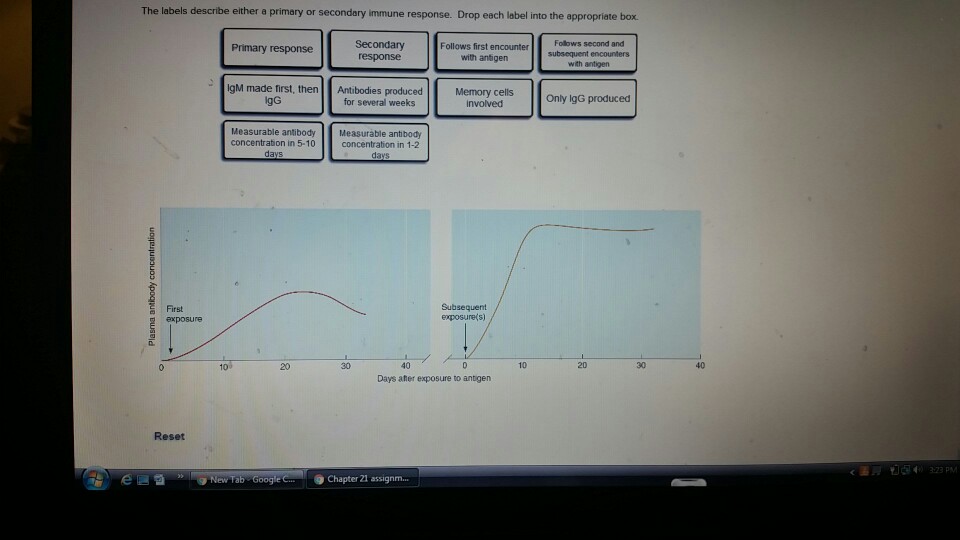 Solved The labels describe either a primary or secondery | Chegg.com
