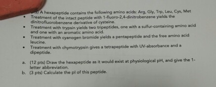Solved A hexapeptide contains the following amino acids: | Chegg.com