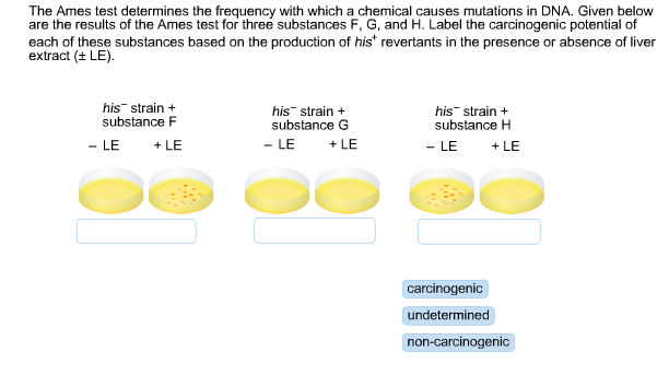 Solved The Ames test determines the frequency with which a | Chegg.com
