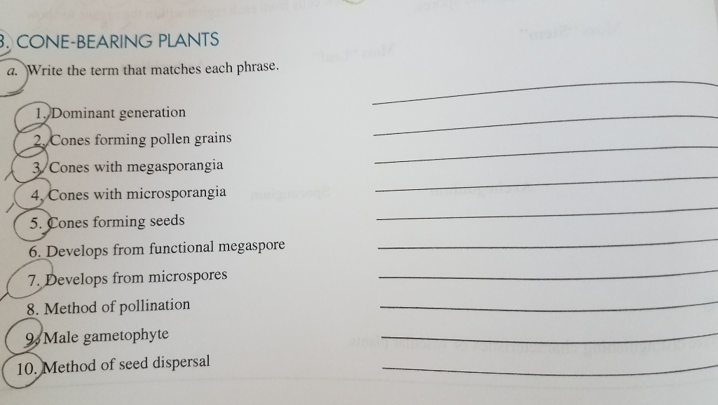 Solved . CONE-BEARING PLANTS a. Write the term that matches | Chegg.com