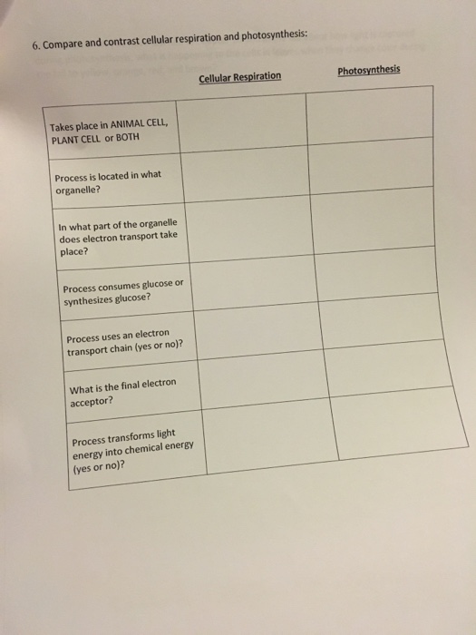 Photosynthesis And Cellular Respiration Compare And Contrast