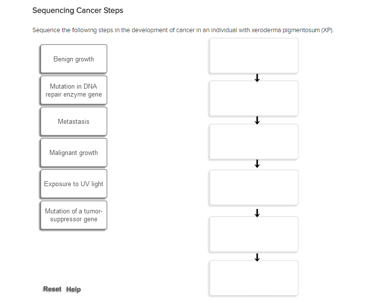 Solved Sequence the following steps in the development of | Chegg.com