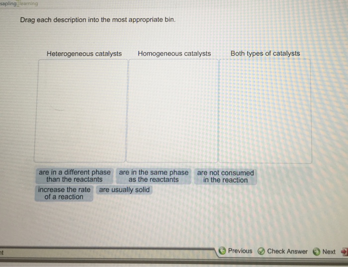 Solved Drag each description into the most appropriate bin. | Chegg.com