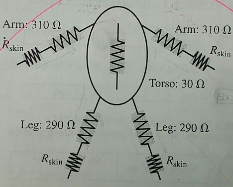 Solved If you touch the terminal of a battery, the small | Chegg.com
