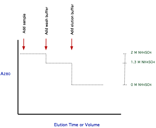 On each graph below, draw the elution profile you | Chegg.com