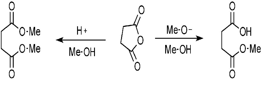 Solved It is possible to make either the diester or the | Chegg.com