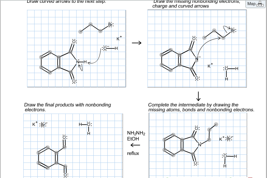 Solved The Gabriel synthesis transforms an alkyl halide into | Chegg.com
