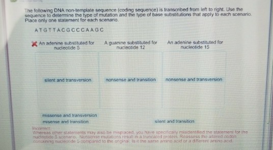 Solved The following DNA non-template sequence (coding | Chegg.com