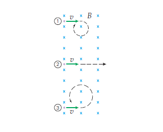 Solved Three particles enter the same uniform magnetic field | Chegg.com