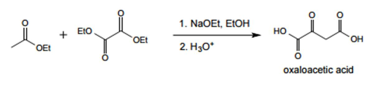 Solved Oxaloacetic Acid Is An Important Intermediate In