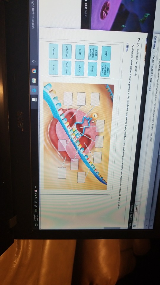 Solved Part A - Initiation components The diagram below | Chegg.com