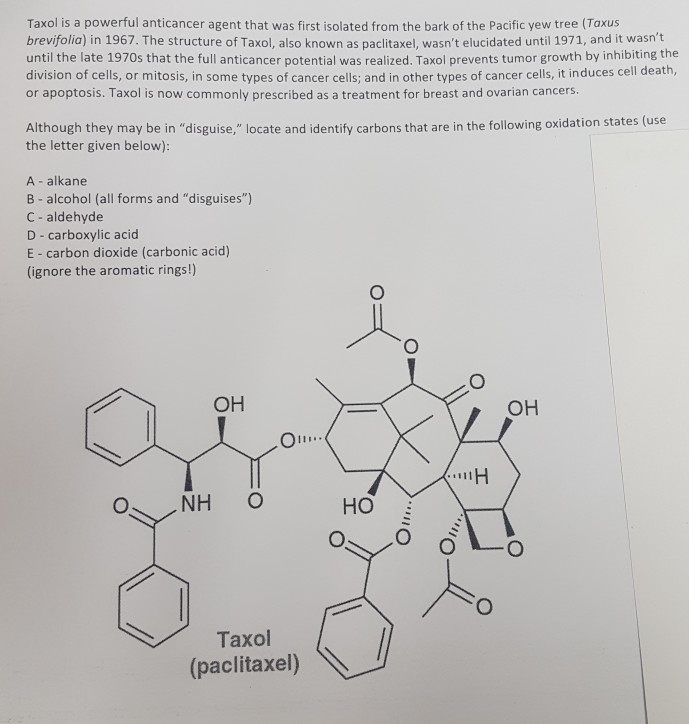 Solved Taxol is a powerful anticancer agent that was first | Chegg.com