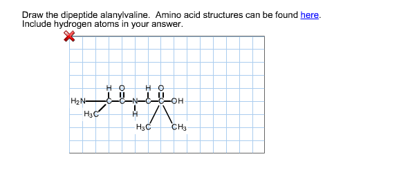 Solved Draw the dipeptide alanylvaline. Amino acid | Chegg.com
