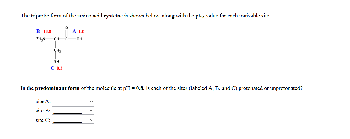 Solved Determine if each site is protonated or | Chegg.com