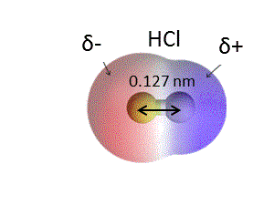 Solved a)HCl consists of one H and Cl atom separated by | Chegg.com