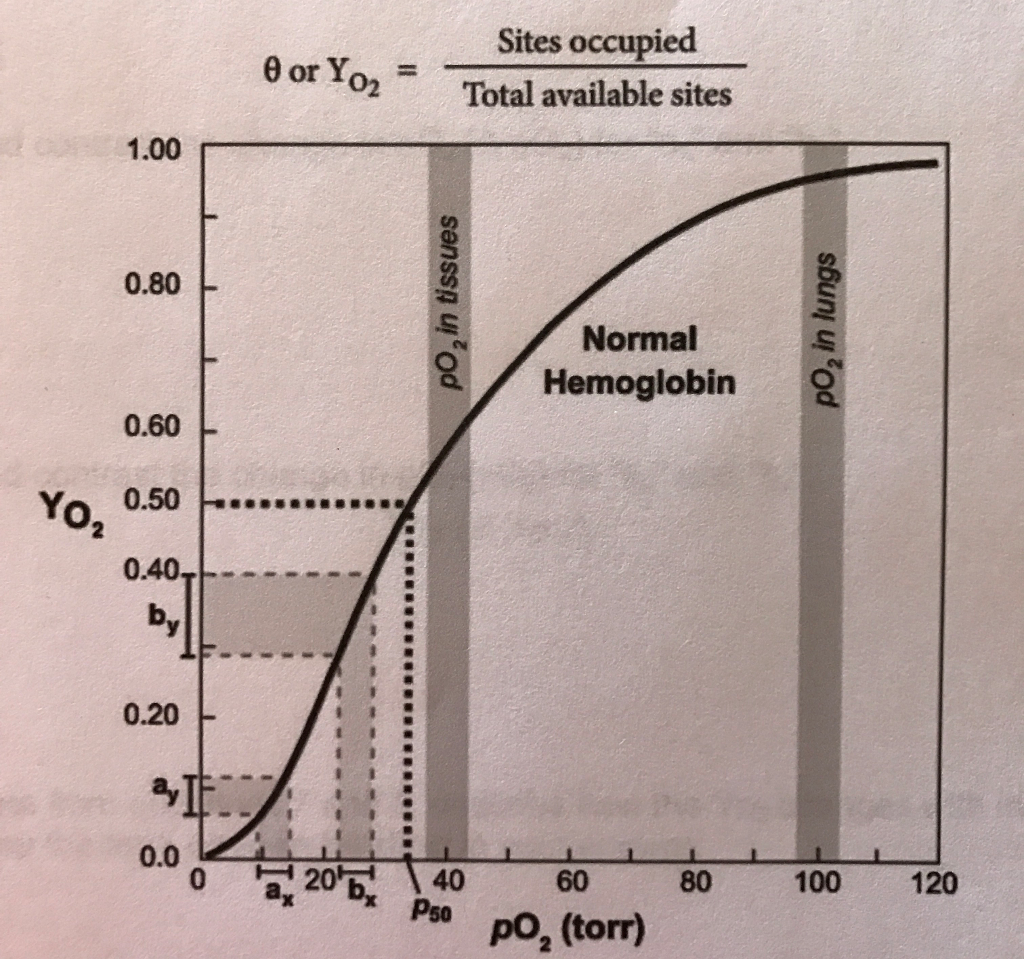 Solved The following figure depicts the oxygen binding curve | Chegg.com