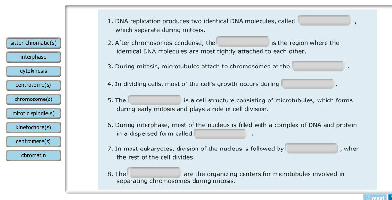 Solved DNA replication produces two identical DNA molecules, | Chegg.com