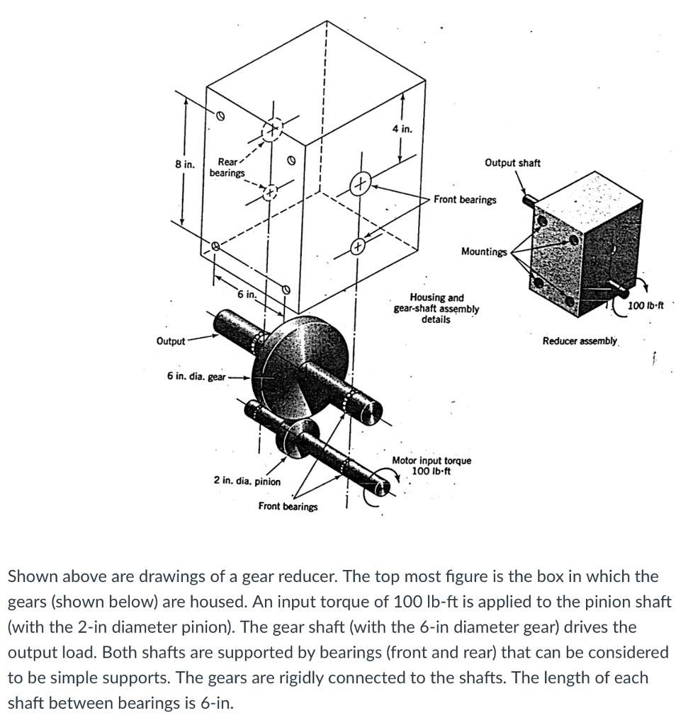 Solved 4 in. 8 in.Rear Output shaft bearings Front bearings | Chegg.com