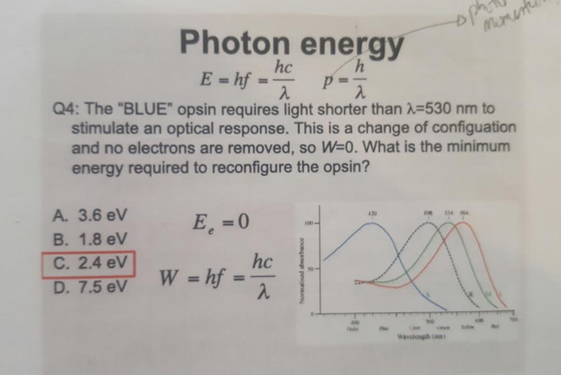 Solved E Hf Hc Lambda P H Lambda The Blue Opsin