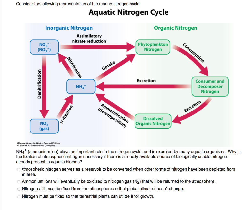 Solved Consider the following representation of the marine | Chegg.com
