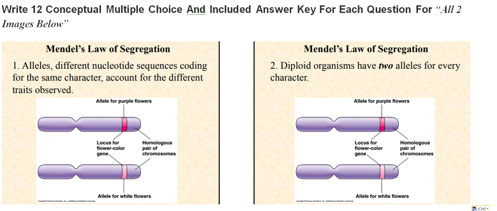 Solved Note: Write 12 Conceptual Multiple Choice And | Chegg.com