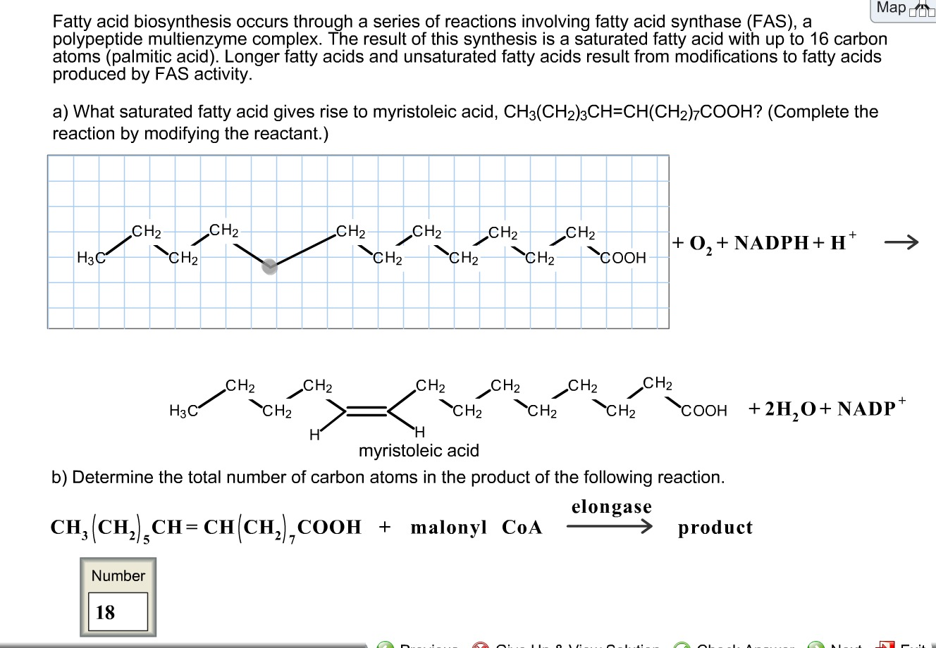 Fatty acid biosynthesis occurs through a series of | Chegg.com