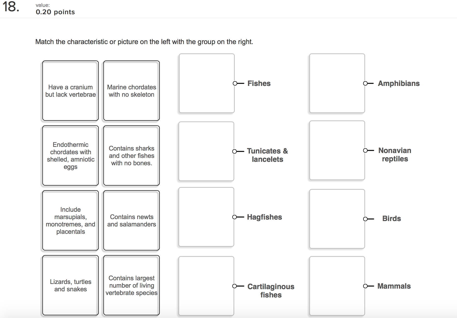Solved Match the characteristic or picture on the left with | Chegg.com