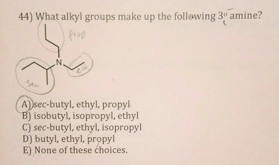 Solved 44) What alkyl groups make up the following 3o amine? | Chegg.com
