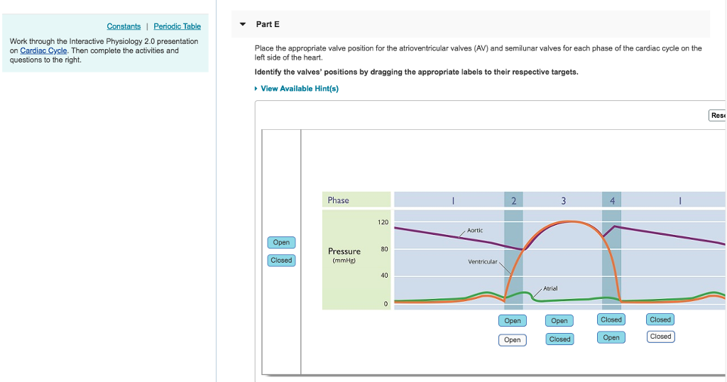 Solved Part E Work through the Interactive Physiology 2.0 | Chegg.com