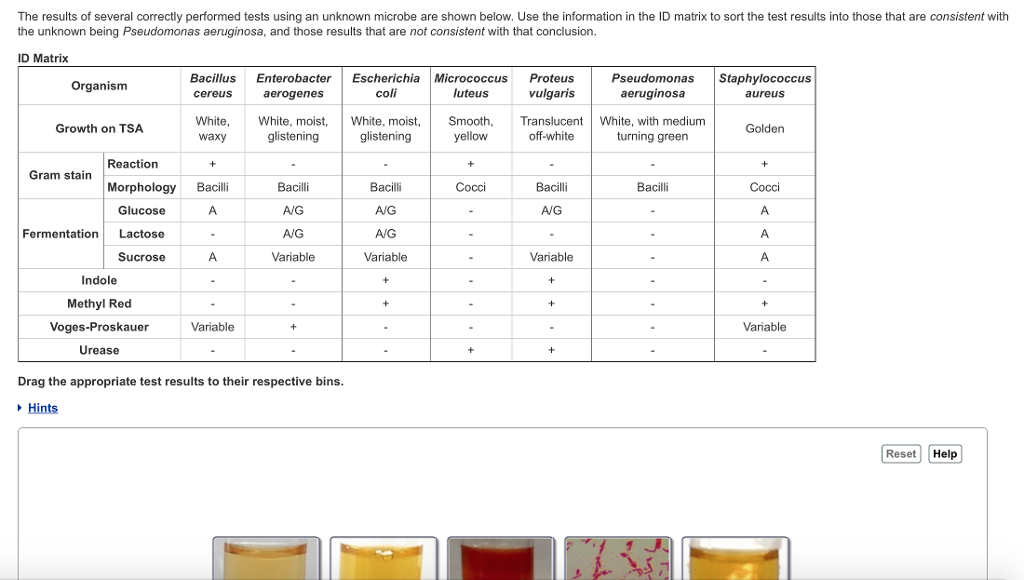 The results of several correctly performed tests | Chegg.com