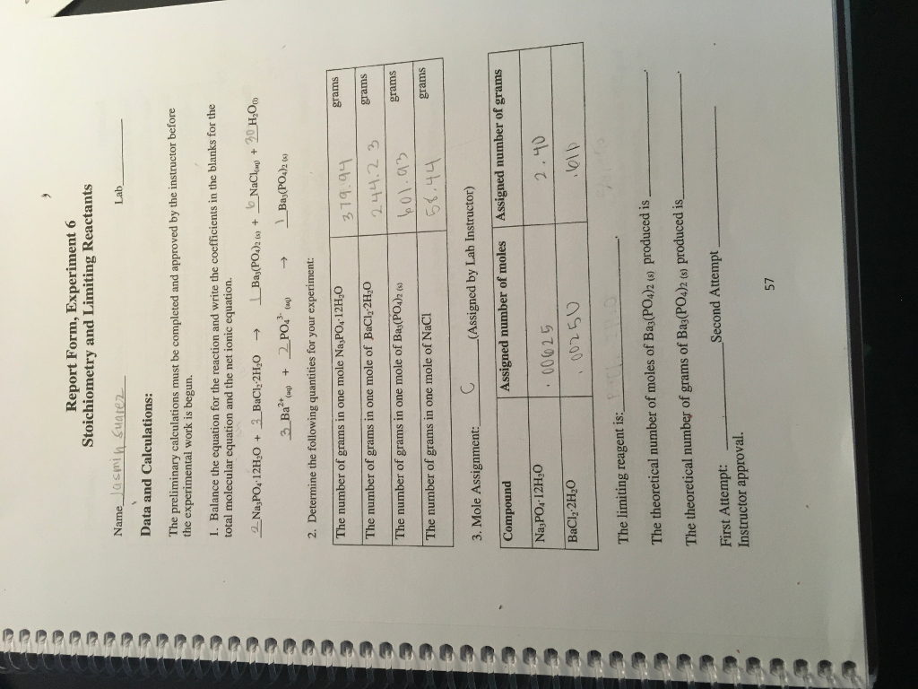 Solved Report Form, Experiment 6 Stoichiometry and Limiting | Chegg.com