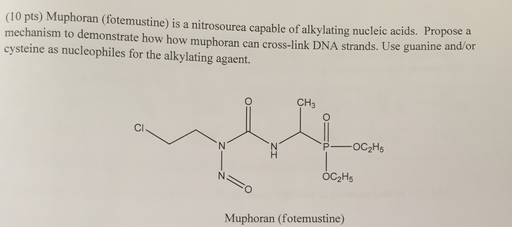 Solved (10 pts) Muphoran (fotemustine) is a nitrosourea | Chegg.com