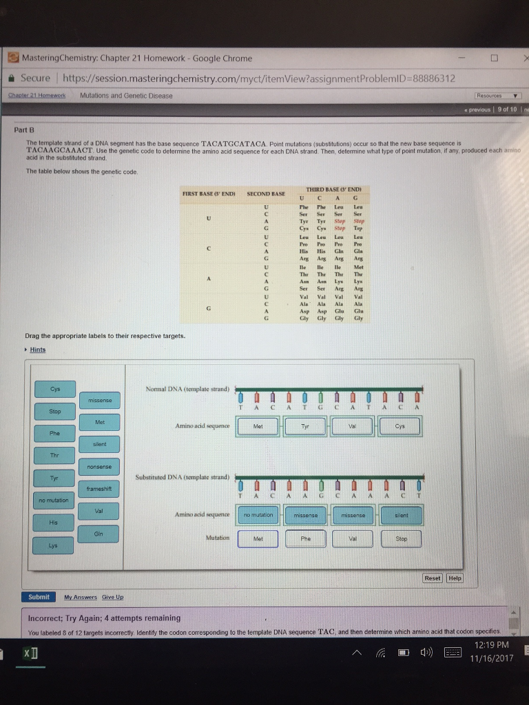 Solved The Template Strand Of A Dna Segment Has The Base